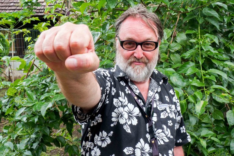 Stuart Page : « Pauly a crée un melting pot musical » | Maison de la ...